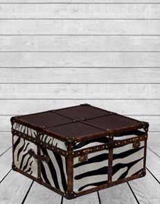 Trunks, Storage & Cabinets